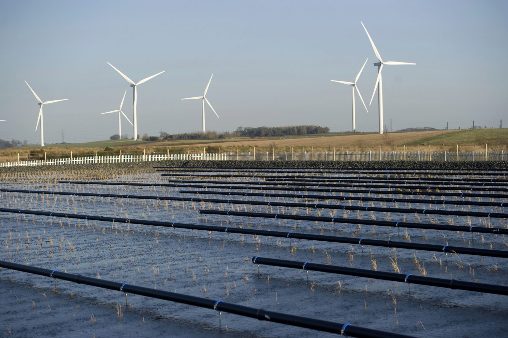 Combined Sewer Overflow - ARM Reedbeds