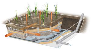 Sludge Treatment - ARM Reedbeds