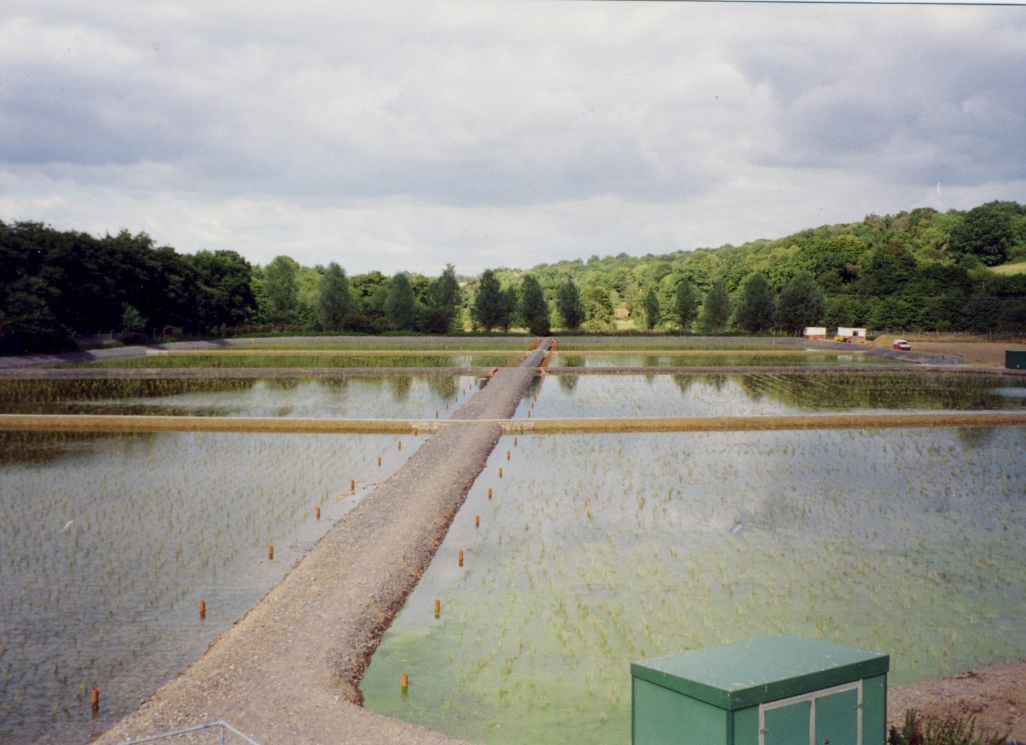 Water Company Reedbeds - ARM Reedbeds